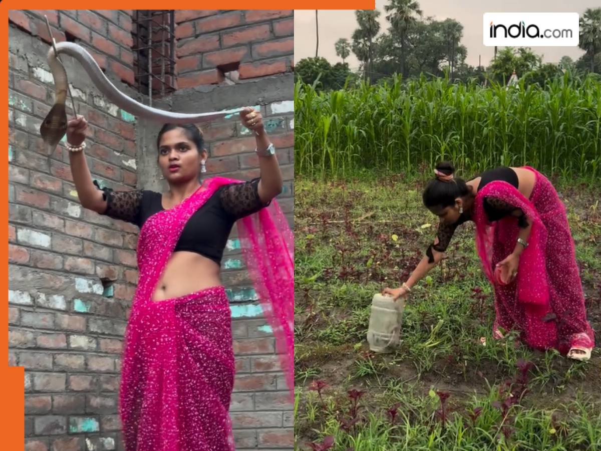 'जहरीला कोबरा भी आपको देख हो गया मदहोश', साड़ी पहन सांप पकड़ने आई महिला ...