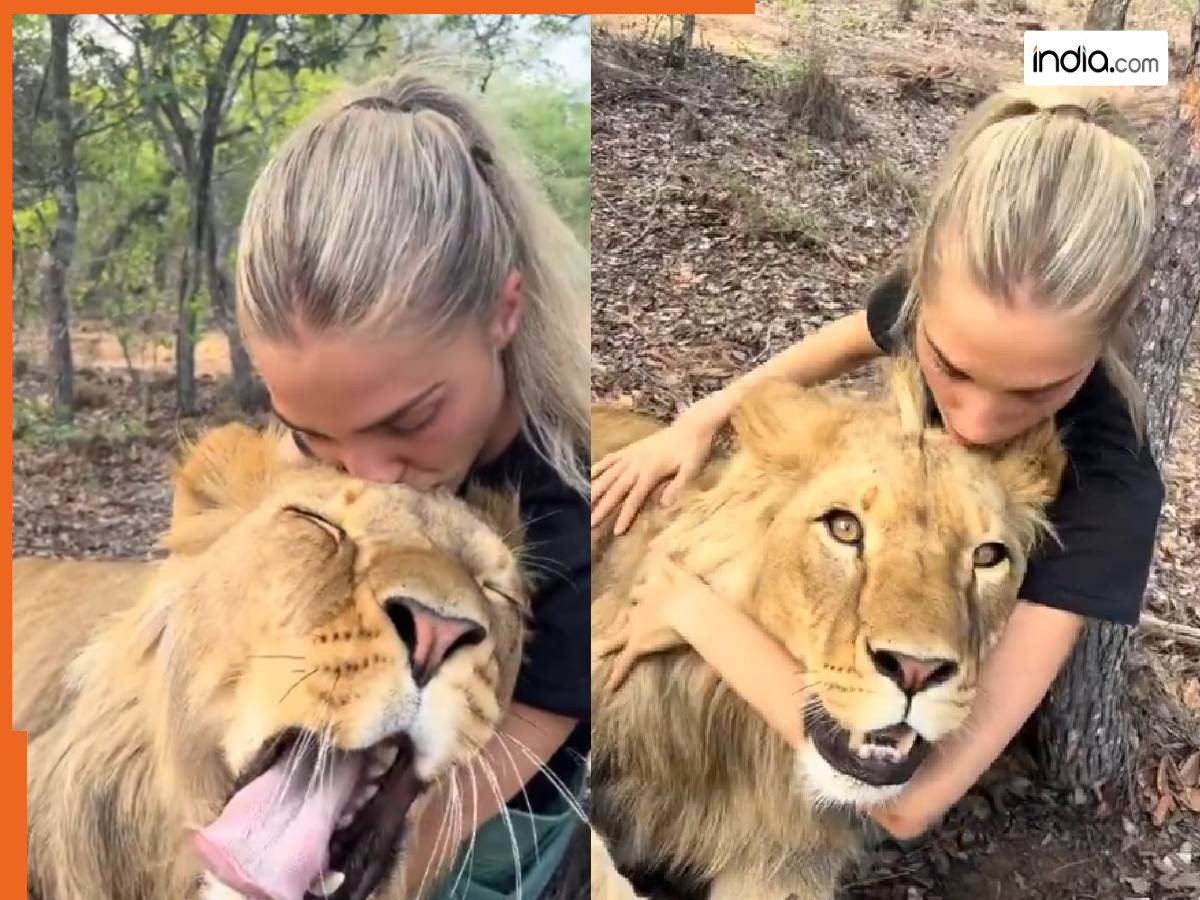 Sher Ka Video: ये महिला है या शेरनी! शेर को गोद में बैठाकर प्यार से चूम ...
