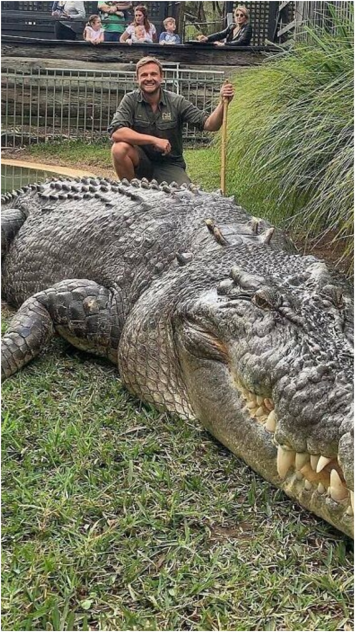 Largest crocodiles on Blue Planet
