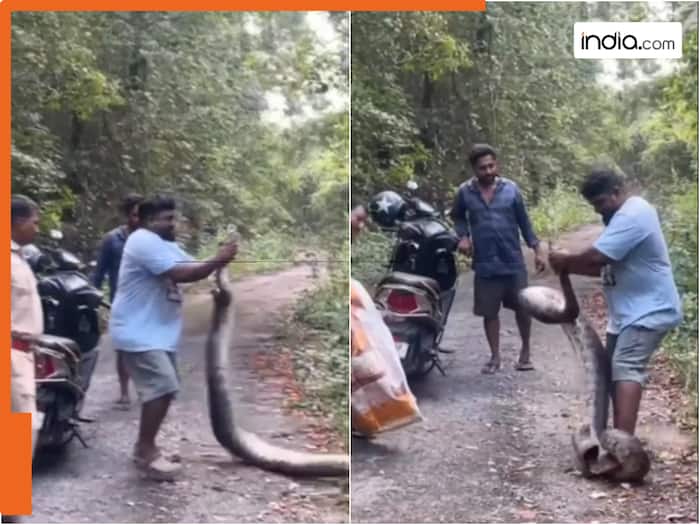 अजगर को एक हाथ से पकड़ ले गया शख्स, Viral Video देख लोगों के छूटे पसीने