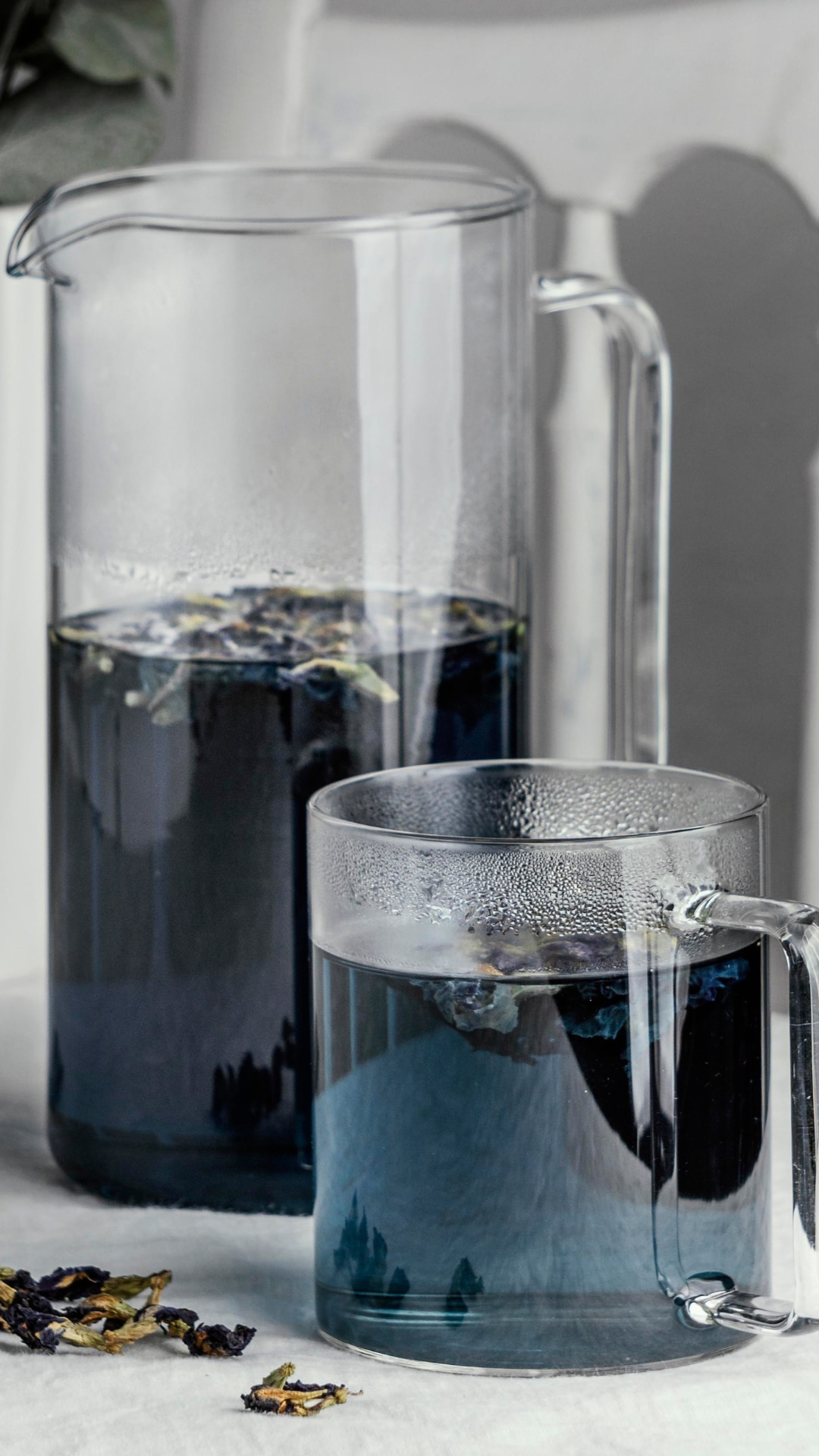 All About Elegance: Shop for Glass Water Dispensers at Amazing Prices