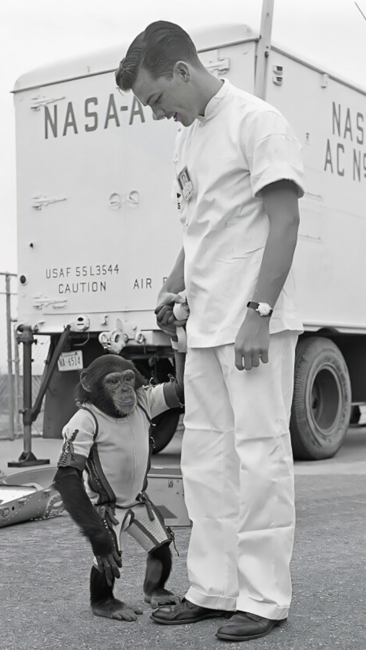 8 animals who ventured into space ahead of humans