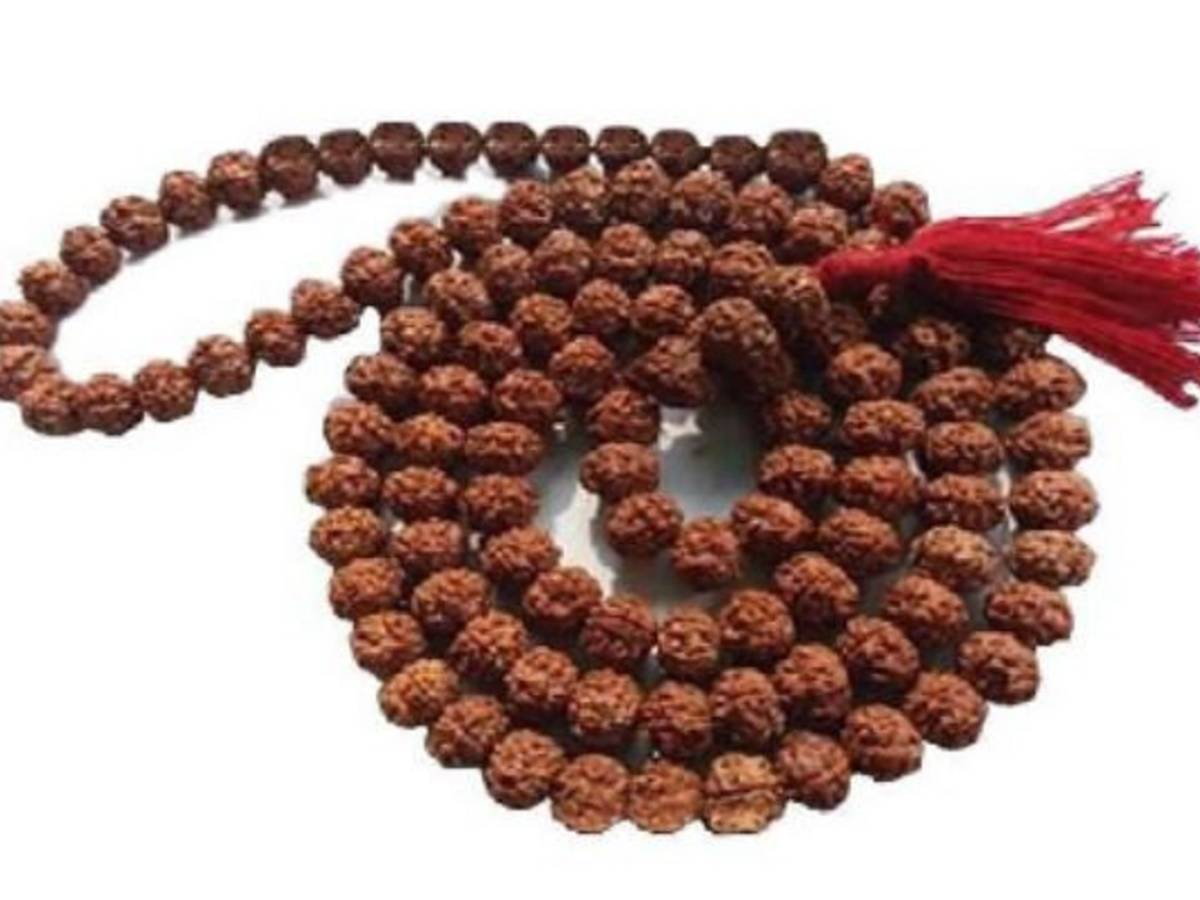 2 Mukhi Rudraksha Benefits: पति-पत्नी के रिश्ते में आई कड़वाहट को दूर ...