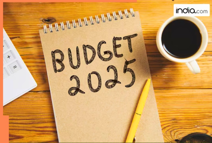 Budget 2025: SBI urges higher healthcare spending, uniform GST on ...