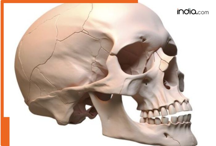 SHOCKING! Skull, bones wrapped in plastic cover found in refrigerator ...