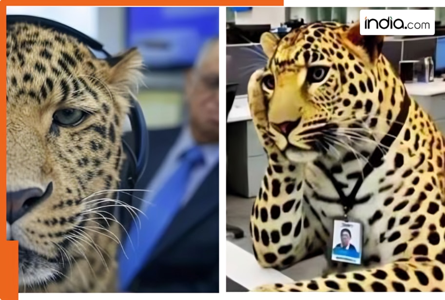 ‘Only leopard can give Infosys WFH’, memes goes viral on social media ...