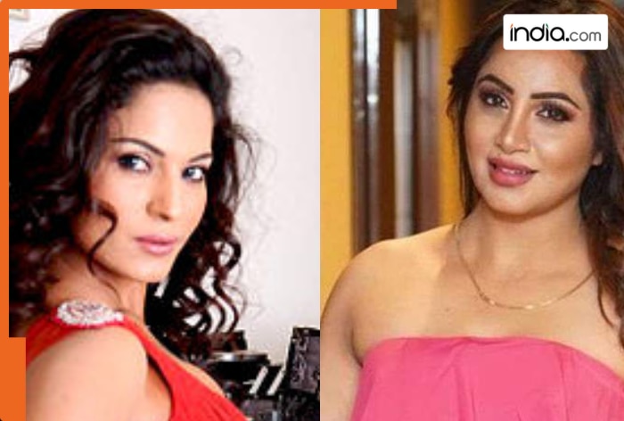 Arshi Khan, Diandra Soares to Veena Malik, check out 5 beauties of Bigg ...