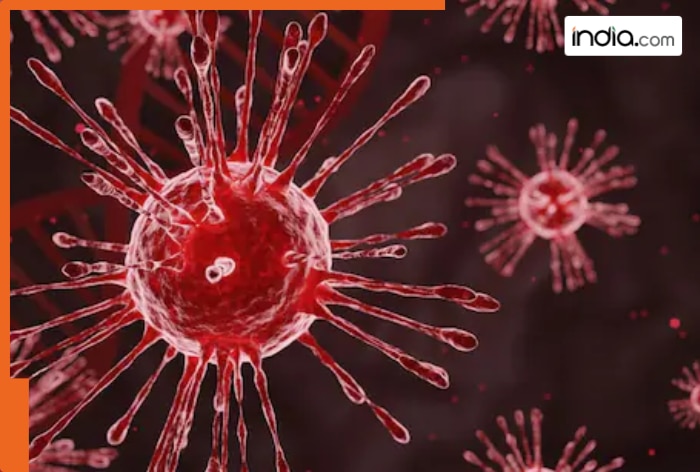 No travel history to China but HMPV cases are rising in India due to...