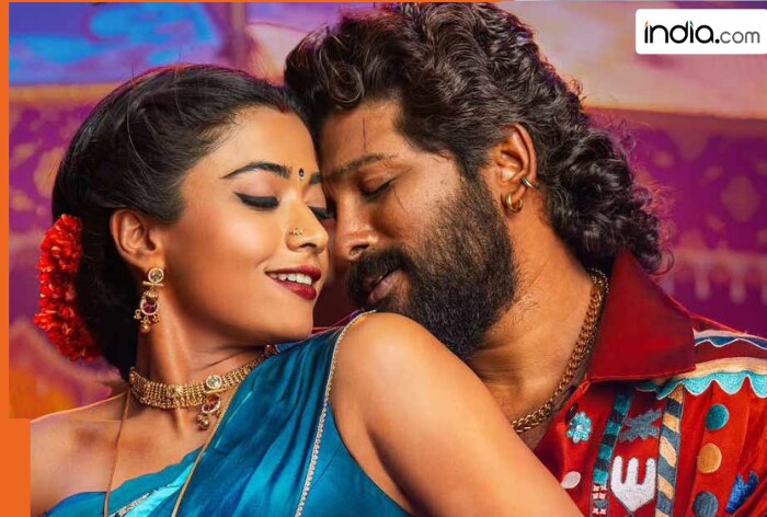 Allu Arjun's Pushpa 2 bears all most profitable Hindi film of last 2 ...