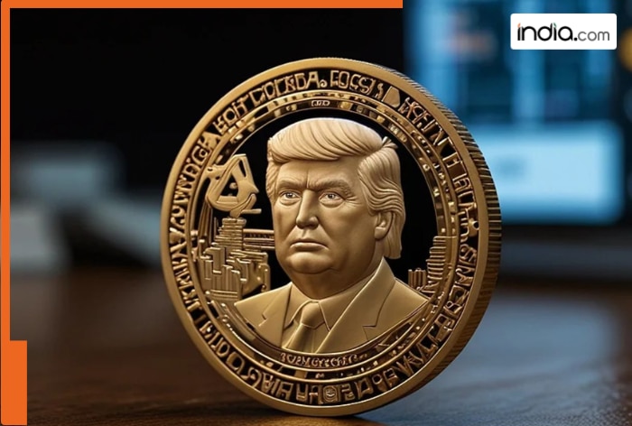 Trump Meme Coin investors suffer heavy loss as its value falls to less ...