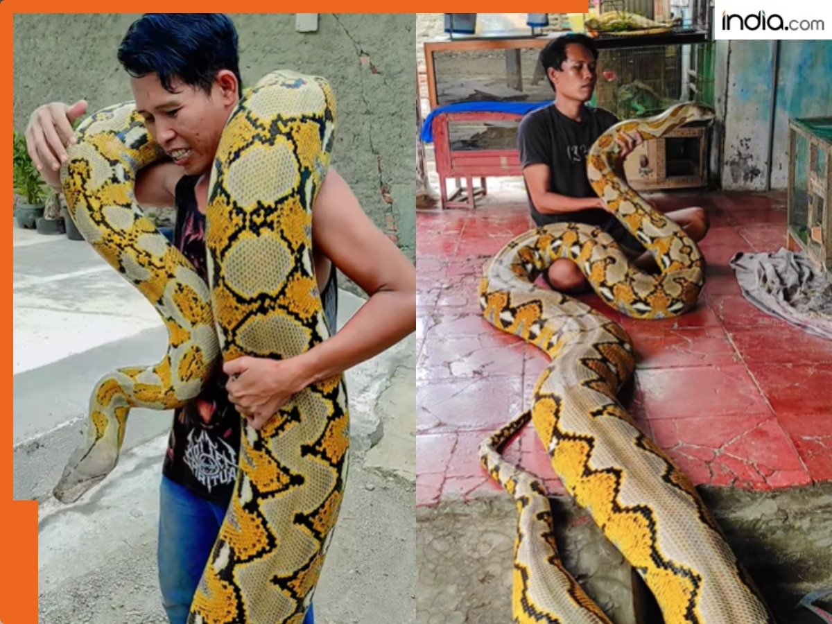 अजगर के साथ रहता है ये युवक, खाना-पीना-सोना सब दैत्याकार सांप के साथ