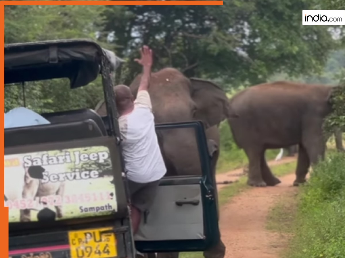 Hathi Ka Video: टूरिस्टों पर अचानक भड़क उठा हाथी, पलटकर कर दिया हमला ...