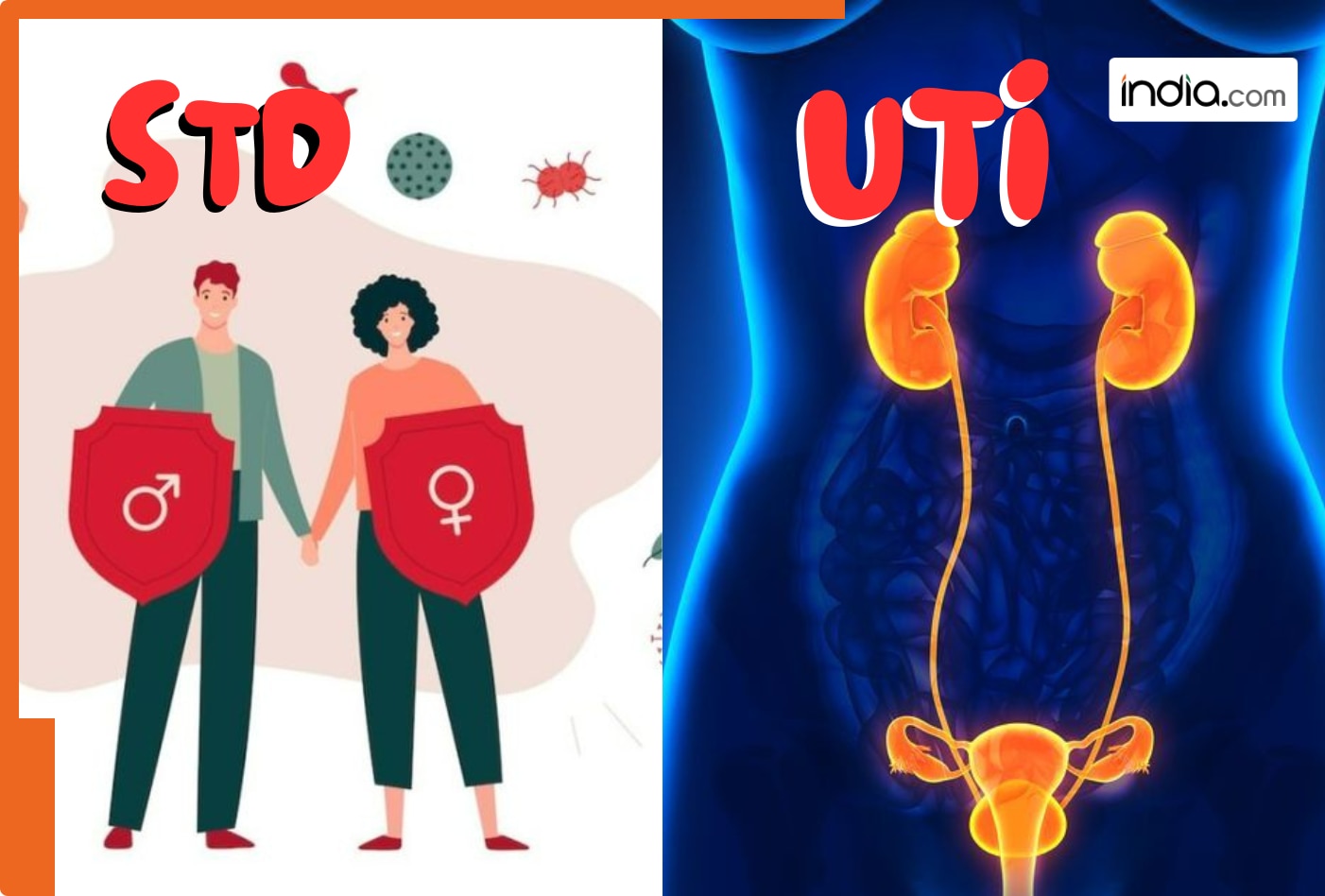 STD और UTI कैसे होते हैं एक-दूसरे से बिल्कुल अलग? जानें लक्षण