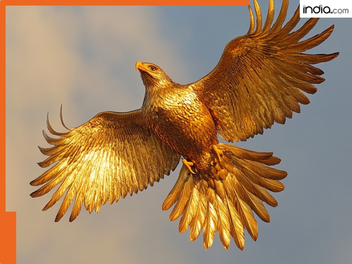 कभी जमीन पर नहीं उतरता ये पक्षी, आकाश में उड़ते हुए ही देता है अंडा