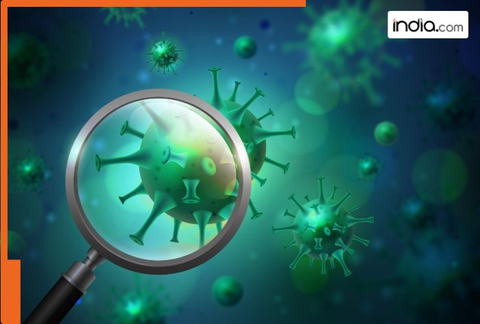 How new bat virus is different from Covid 19? All you need to know ...