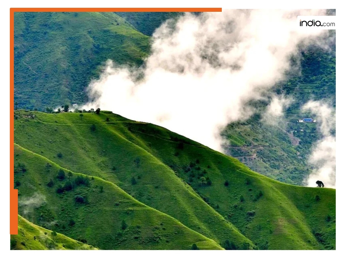 Chail Himachal Pradesh: पटियाला के राजा ने खोजा था ये हिल स्टेशन ...