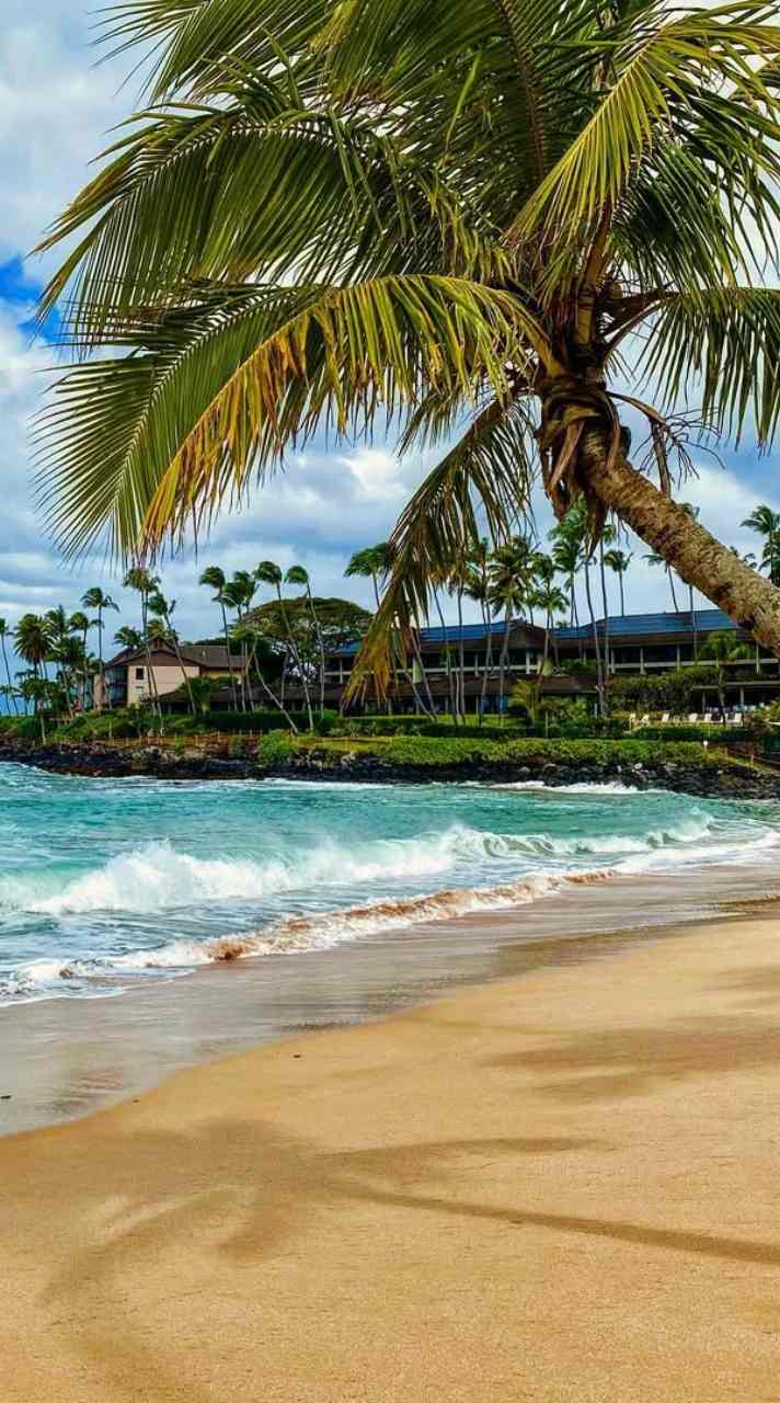 Top 10 Best Beach Destinations In The World