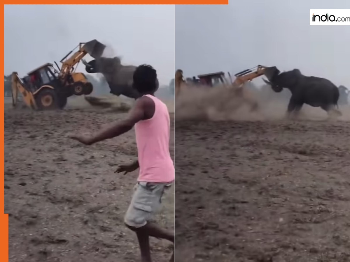 Hathi Ka Video: जेसीबी देखते ही भड़क गया गुस्सैल हाथी, एक ही टक्कर में ...