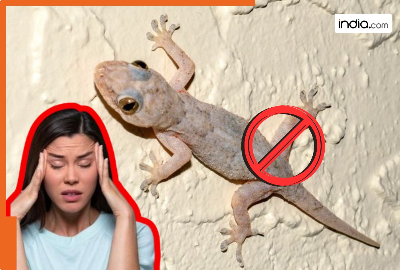 दीवार पर रेंगती छिपकलियों से हैं परेशान? तो ट्राई करें ये 5 अचूक उपाय ...