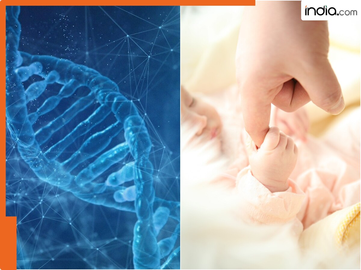 कैसे होती है DNA Test से बच्चे की पहचान? कितने दिन और रुपये में होता है ...
