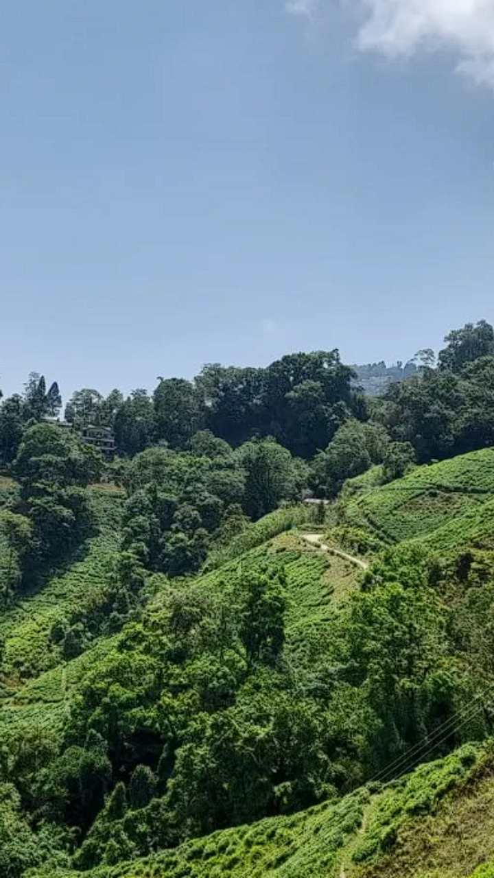 Mirik: Photos of Mirik | Pictures of Famous Places, Attractions of ...