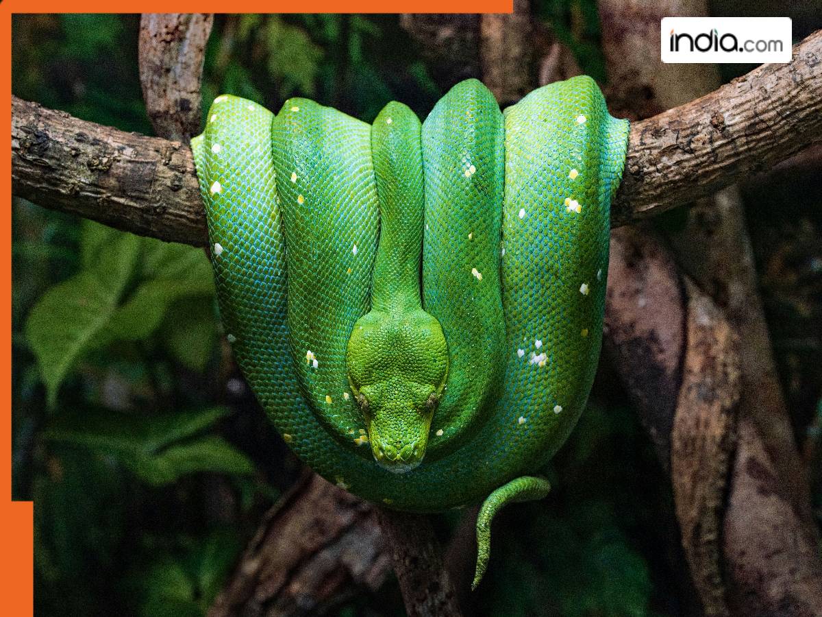 आम इंसानों के लिए रहने लायक बिल्कुल नहीं पृथ्वी की ये 4 जगहें, जो भी ...