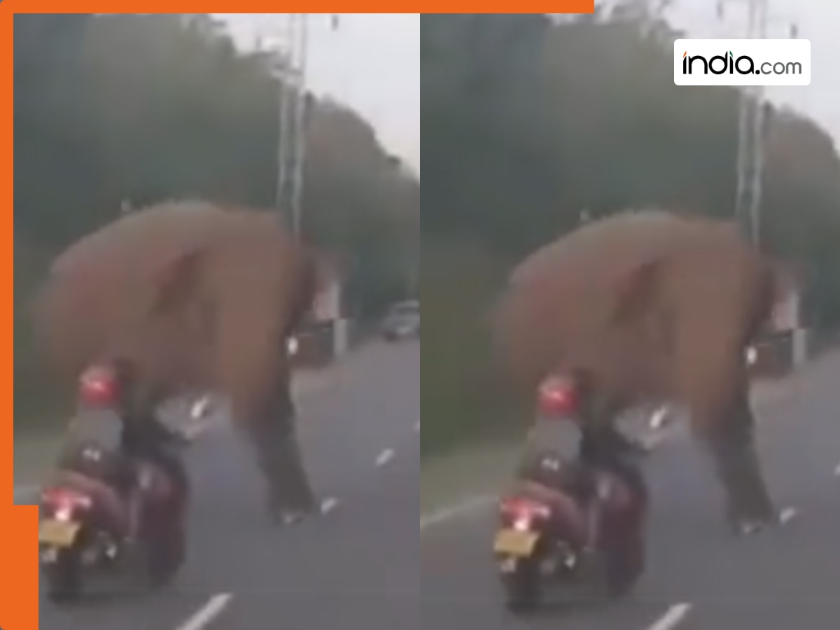 Hathi Ka Video: स्कूटी से सड़क पर जा रही थी महिला अचानक सामने से आ गए ...