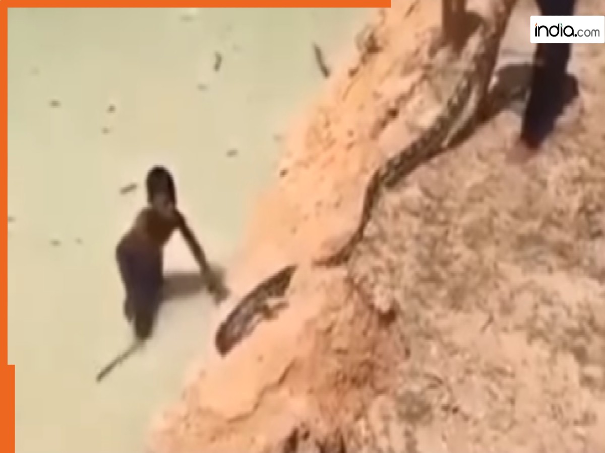 Azgar Ka Video: नदी से विशालकाय अजगर खींच लाए छोटे बच्चे, देख लिया तो ...