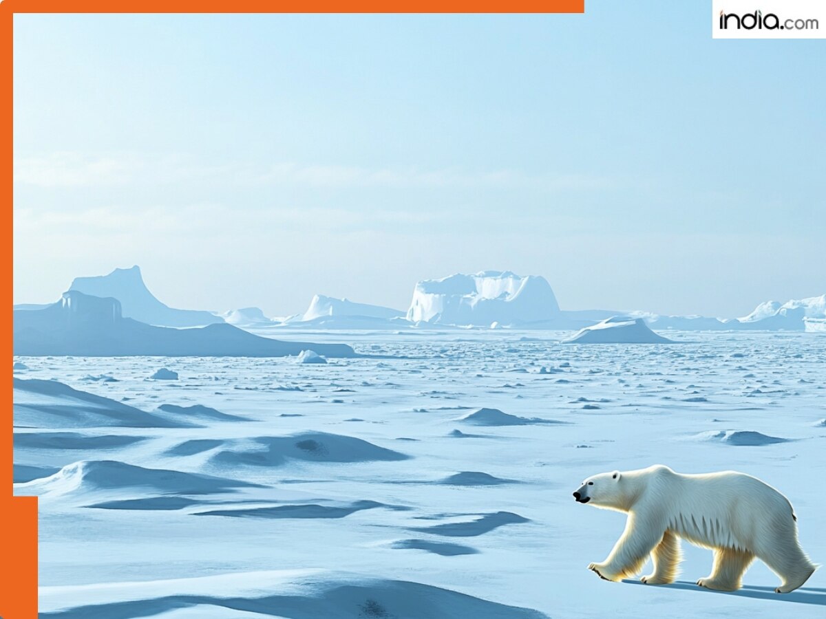 नार्थ पोल और साउथ पोल के बारे में सुना होगा, लेकिन पृथ्वी का Third pole ...