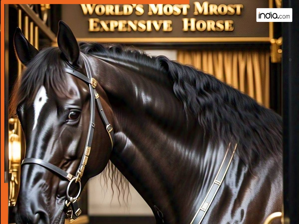 दुनिया का सबसे महंगा घोड़ा! 100 रॉल्स रॉयस से भी ज्यादा कीमती, चौंका ...