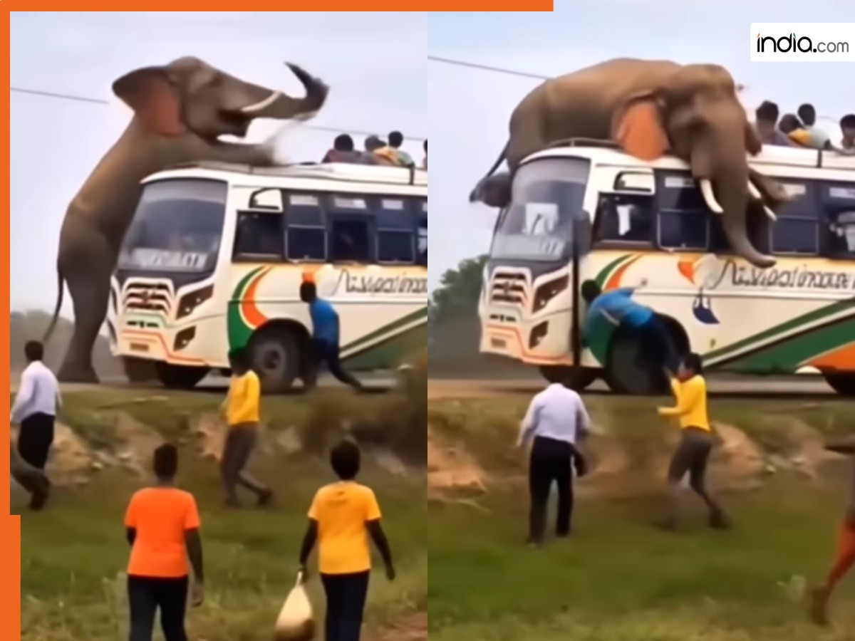 Hathi Ka Video: हाथी ने चलती बस पर कर दिया अटैक, फिर जो दिखा यकीन नहीं ...