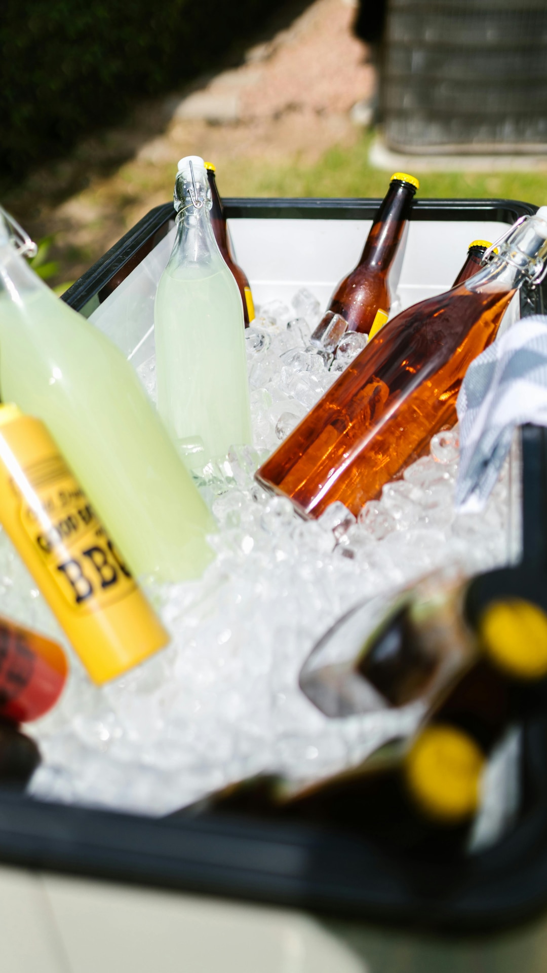 Chill On the Go: Best Ice Boxes for Travel, Picnics & More!