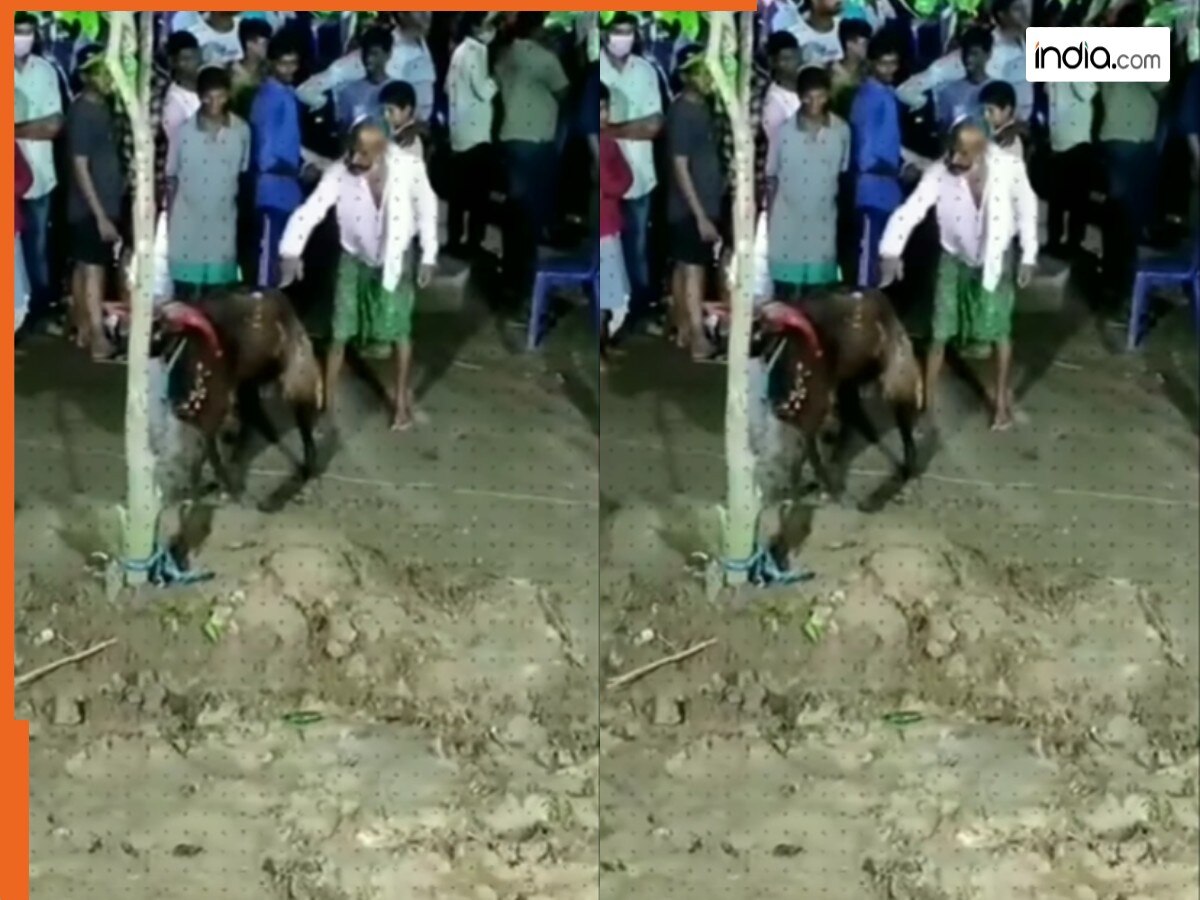 Bakre Ka Video: बकरे को छेड़कर हीरो बन रहे थे चाचा, अगले ही सेकेंड उसने ...