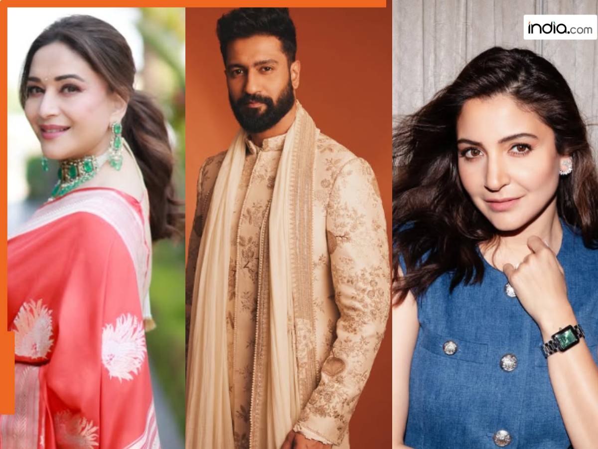 विक्की कौशल, अनुष्का शर्मा, माधुरी दीक्षित की तरह खूब दौलत-शोहरत पाते ...