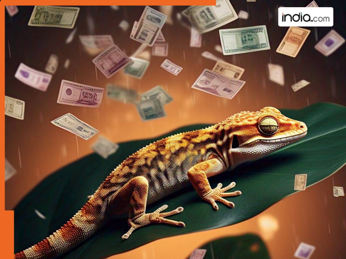 भारत में पाई जाती है दुनिया की सबसे महंगी छिपकली, किसी को भी बना सकती ...