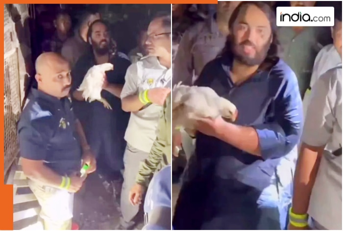 Mukesh Ambani and Nita Ambani son Anant Ambani paid double price for ...