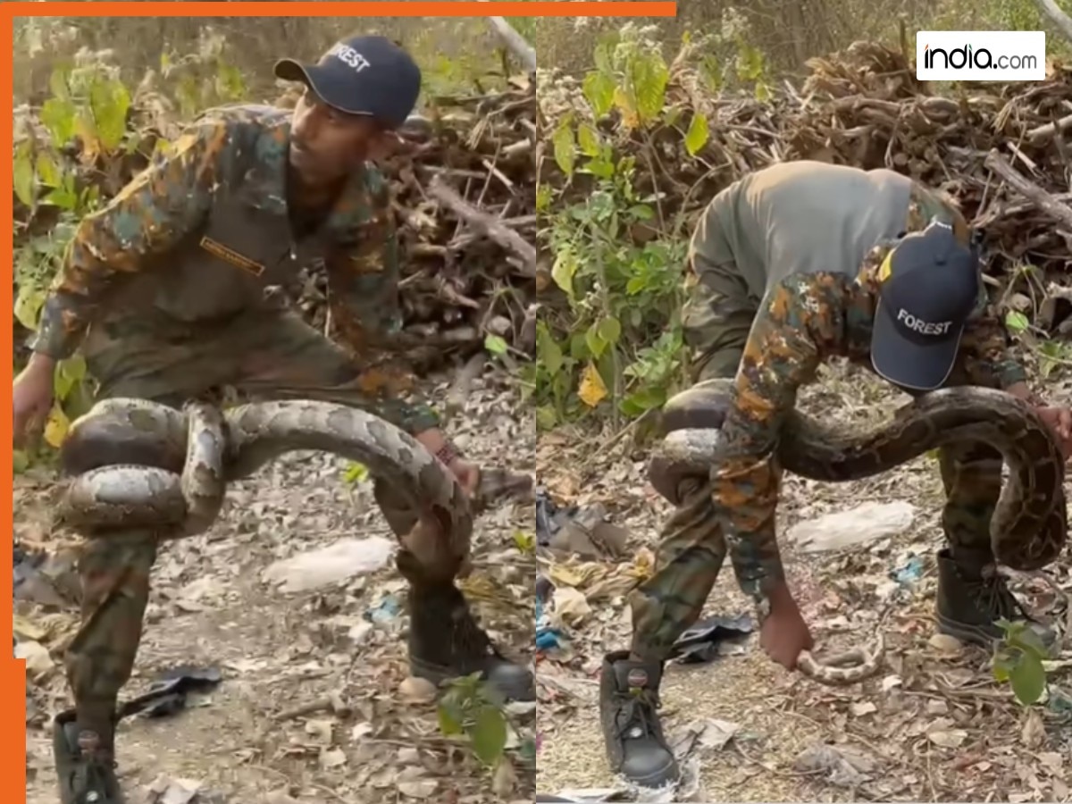 Azgar Ka Video: मुंह दबोचते ही पैरों से लिपट गया अजगर, फिर जो दिखा रूह ...