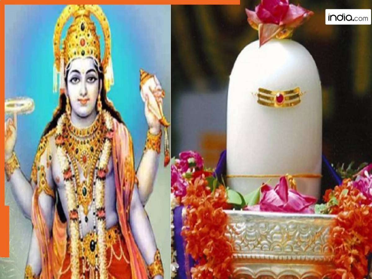 Apara Ekadashi 2025: अपरा एकादशी के दिन शिवलिंग पर अर्पित करें ये चीजें ...