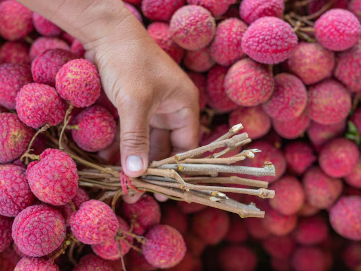 गर्मी में जरूर खाएं ये फल, सेहत को मिलेंगे गजब के फायदे