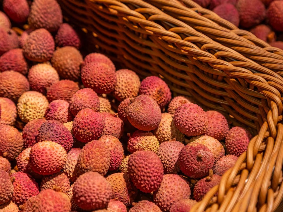 गर्मी में जरूर खाएं ये फल, सेहत को मिलेंगे गजब के फायदे