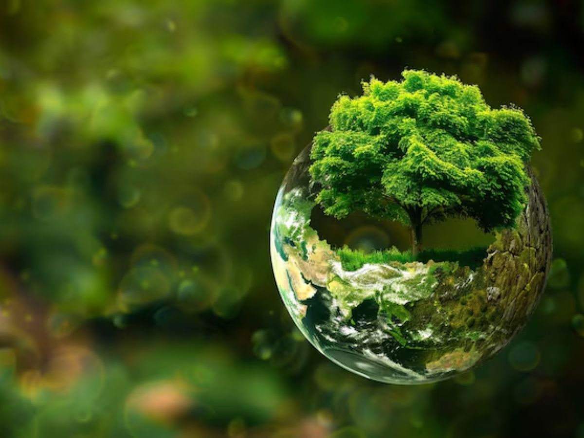 First Land On Earth