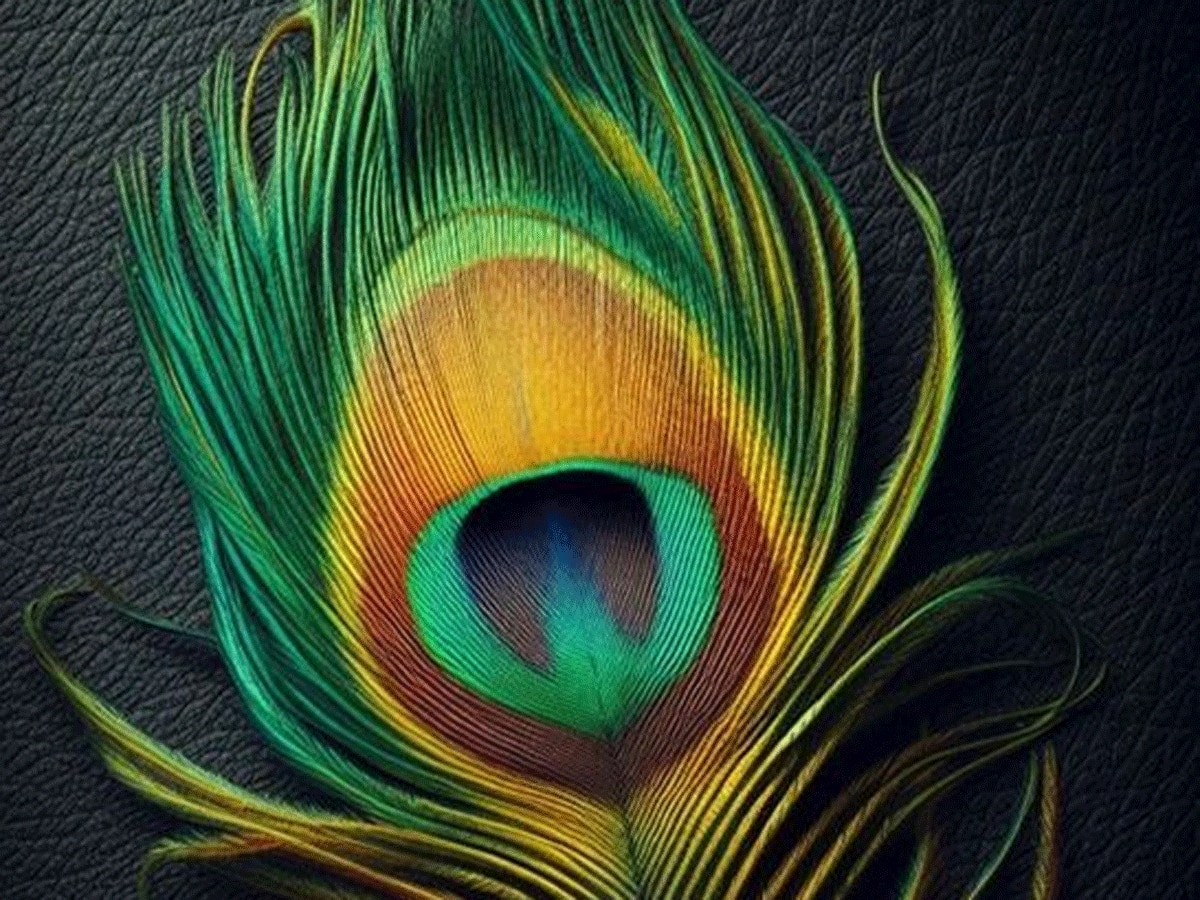 स्वास्तिक और मोरपंख मिलकर 100008 गुना तक बढ़ा सकते हैं एनर्जी? पॉजेटिव ...