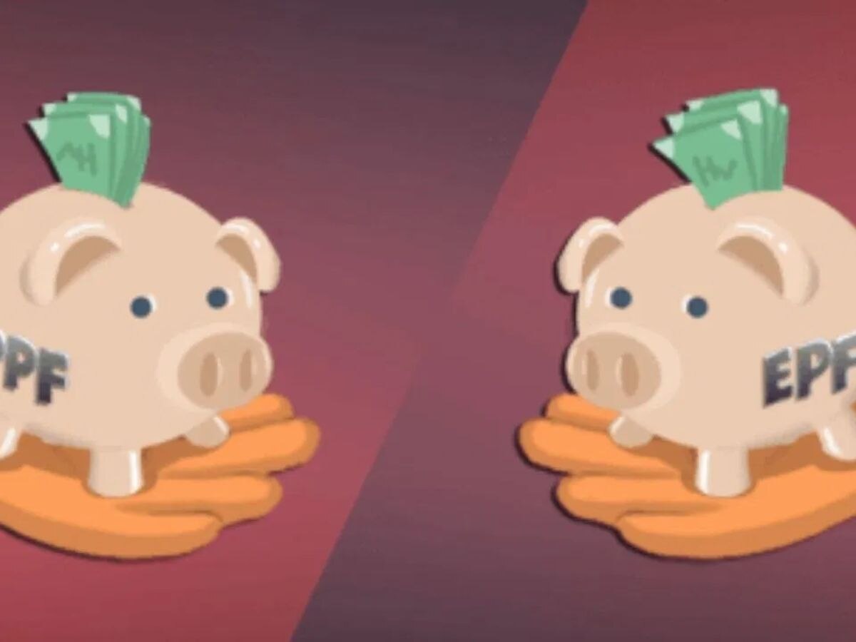 EPF, GPF और PPF अकाउंट में क्या होता है फर्क? आपके लिए कौन सा ज्यादा फायदेमंद?