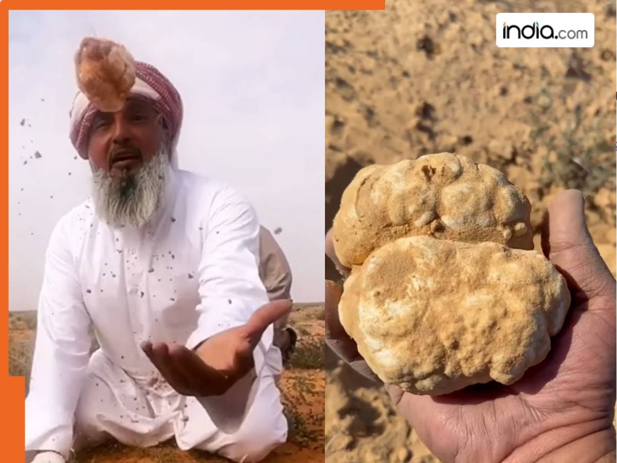 सोने से कम नहीं है रेत की कोख में पलने वाला ये 'खजाना', जिसने खोजा वो ...