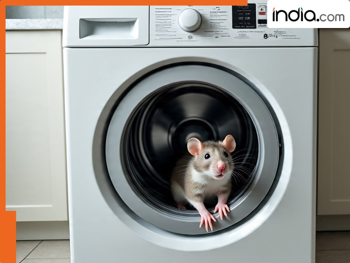 चूहे बना रहे हैं वॉशिंग मशीन को अड्डा? 5 रुपये का ये देसी नुस्खा अपनाएं ...
