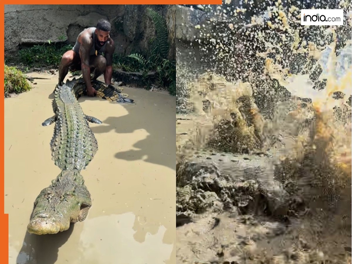 Magarmach Ka Video: मगरमच्छ को छेड़ने की भारी गलती कर गया शख्स, पानी के ...