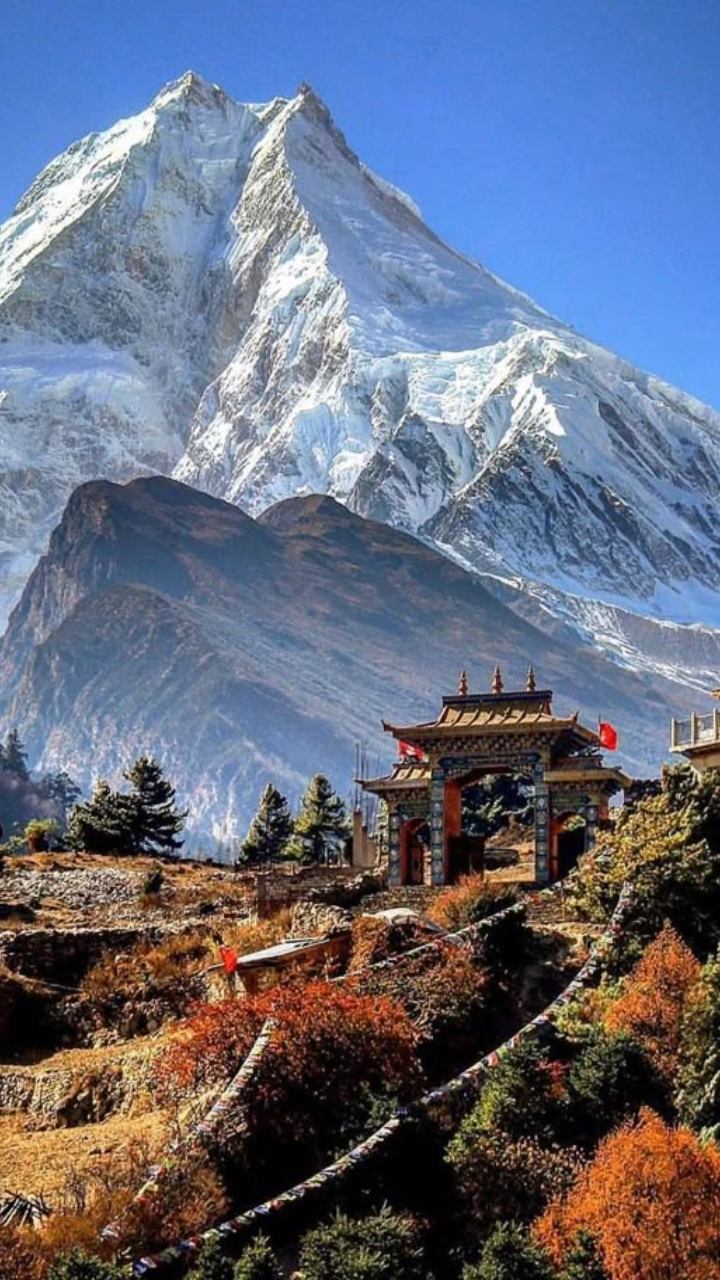 7 Incredible Biodiversity Hotspots In India You Must Explore