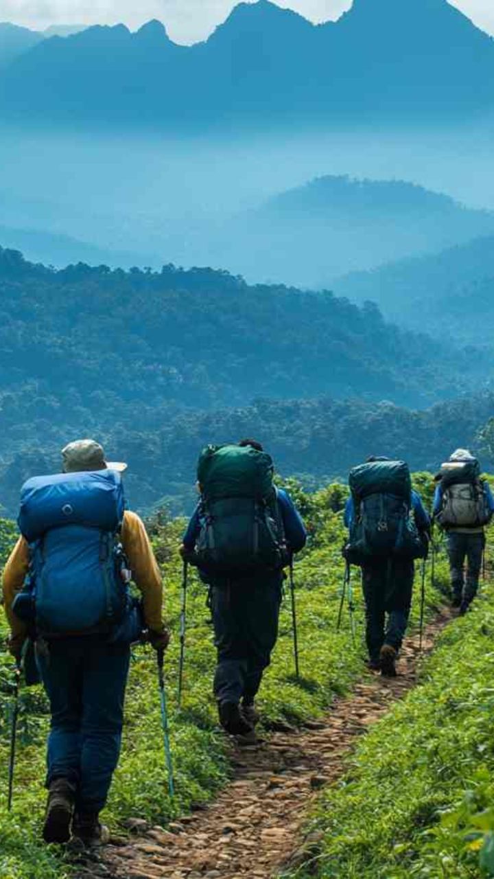 7 Undiscovered Trekking Trails In South India For Nature Lovers
