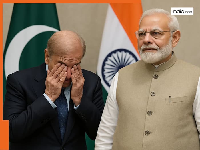 In Operation Sindoor, these drones defeated Pakistan! now company gets ...