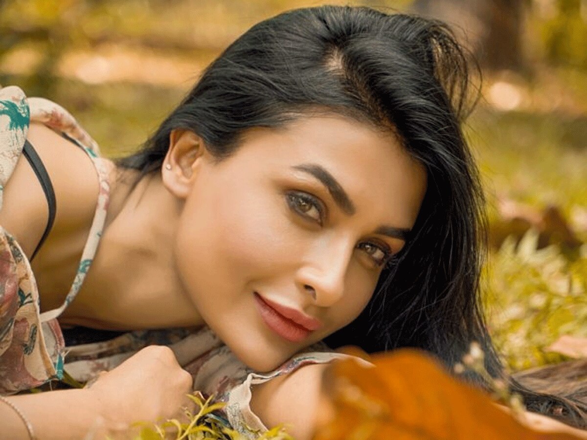 'दिमाग में जो गंद भरा है ना...', पवित्रा पुनिया पर बरसे पारस छाबड़ा ...